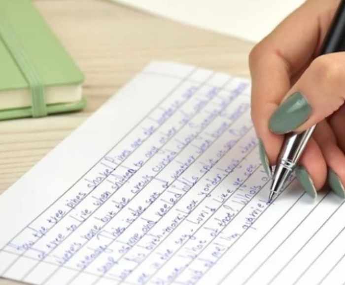 How to Write a Successful Essay. - HubPages