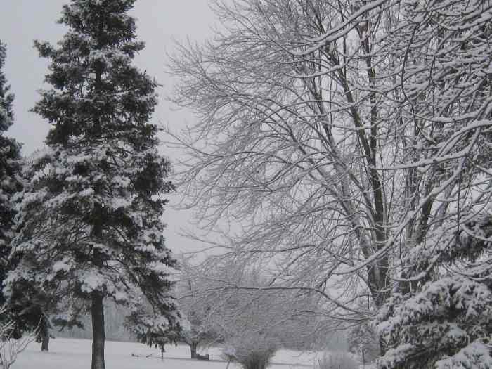 Snowflakes: What Are They, Really? What is Snow? - HubPages