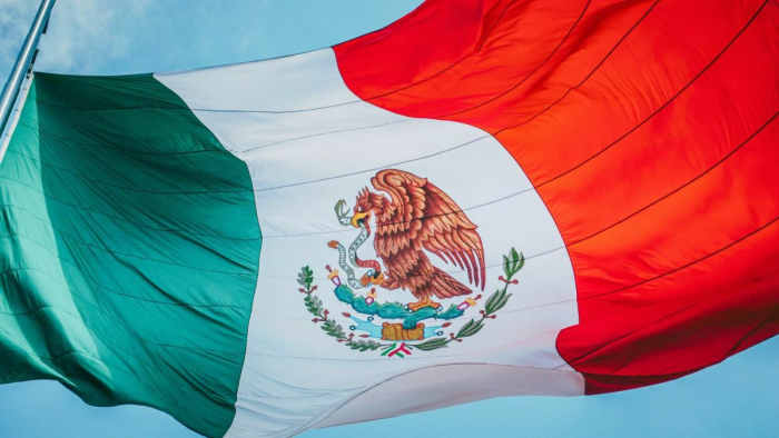 Snake Flags Around the World - HubPages