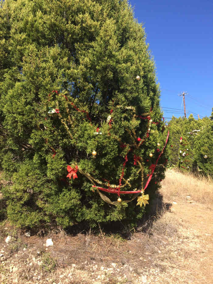 Christmas Tree Decorating in Austin, Texas - HubPages