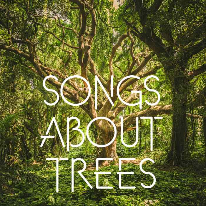 46 Songs About Trees - HubPages