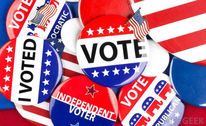 Primaries, Delegates, and Voters Oh My! - HubPages