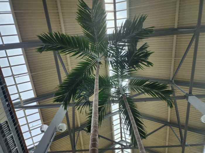 Biosphere 2: The Space Colony that Never Was - HubPages