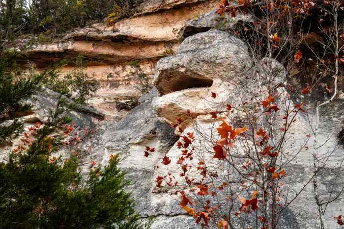 Monkey Rock A Nature's Sculpture at Lost Maples State Park in the Texas ...