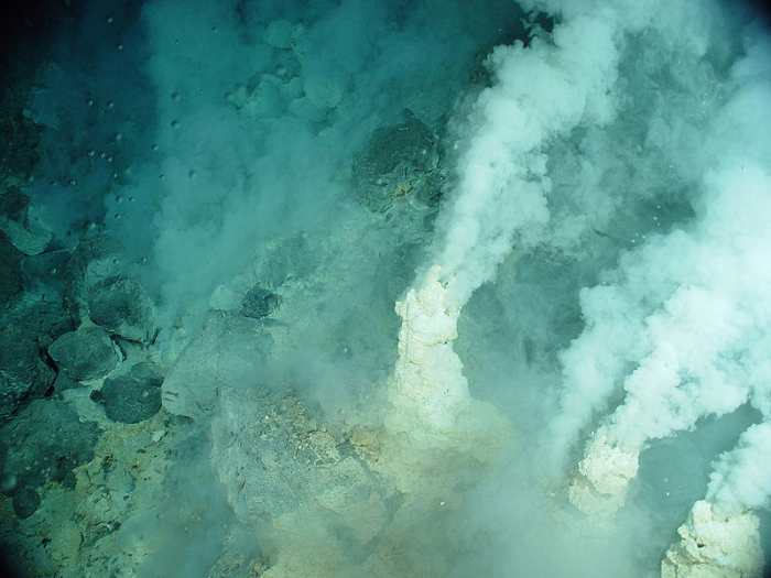 Communities Based on Chemosynthesis in Hydrothermal Vents - HubPages