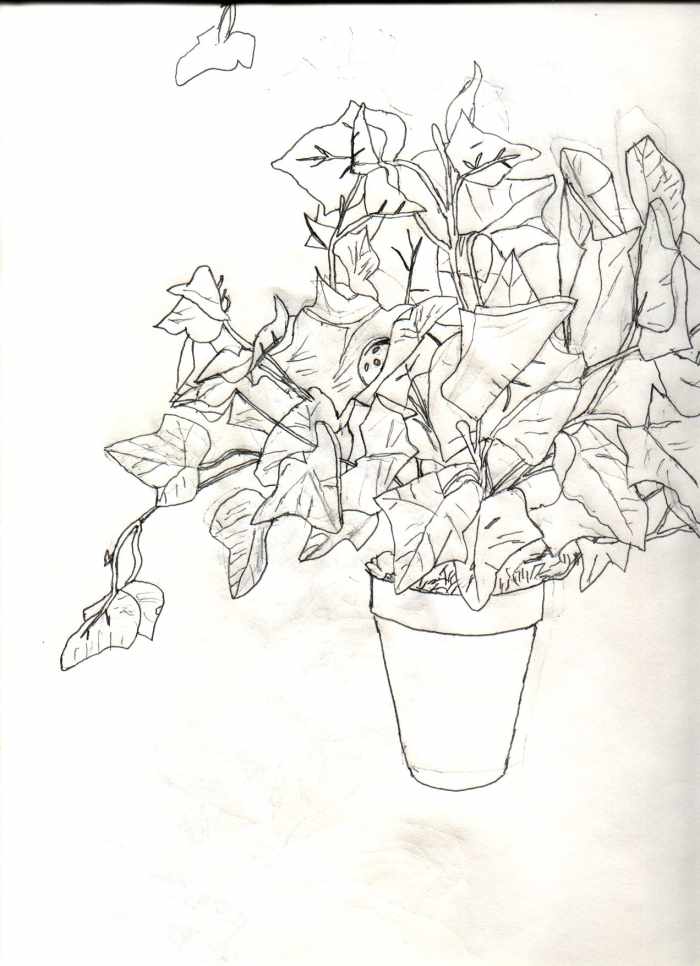 You Too Can Learn to Draw - HubPages