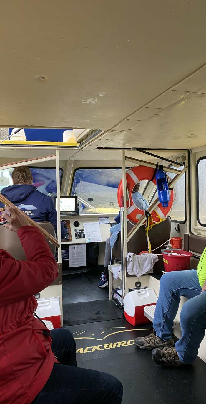 A Day in Ketchikan: Salmon, Totem Poles, and Hovercraft Tours - HubPages
