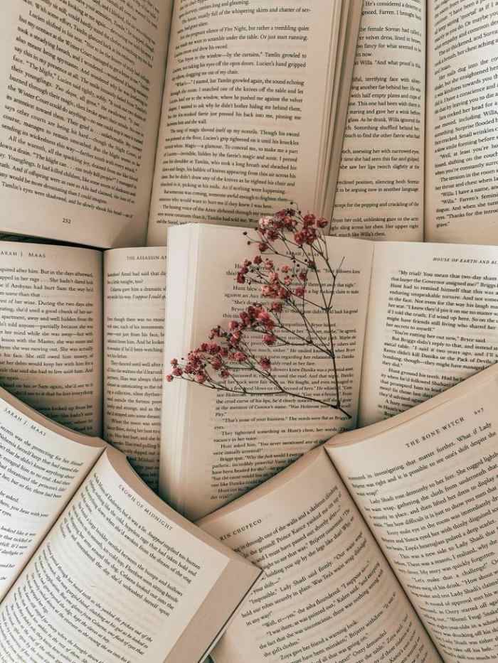 Creative Writing Techniques and Literary Devices - HubPages