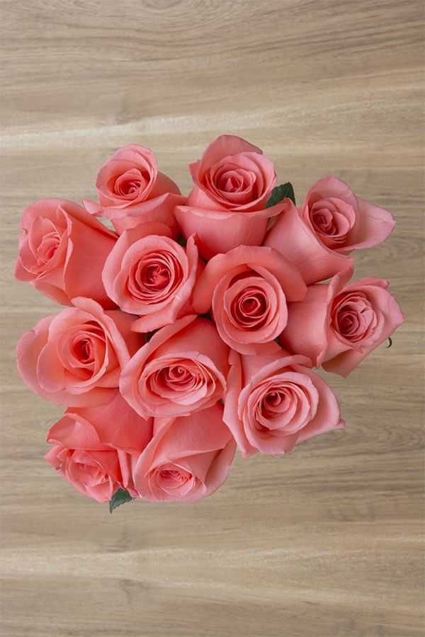 Different Colors of Roses and Their Meanings - HubPages