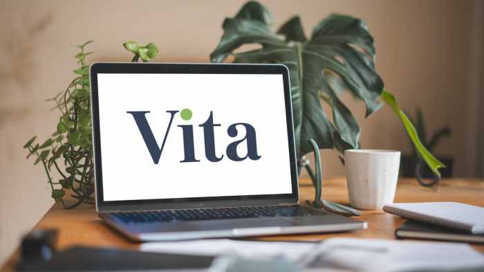 What is the Volunteer Income Tax Assistance (VITA) Program? - HubPages