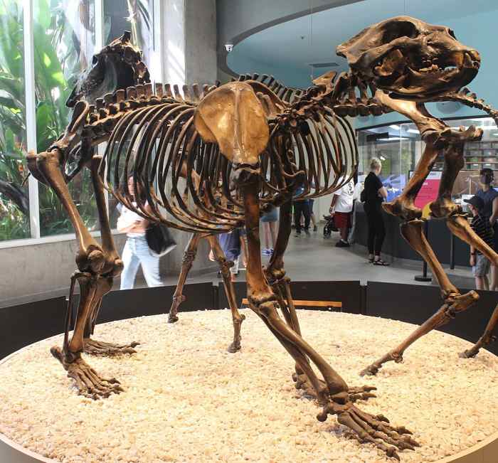 Arctodus Simus: A North American Giant - HubPages