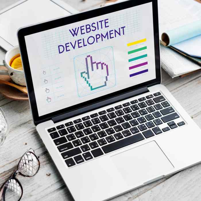 Cms Vs Custom Website Development: Which One Is Better for Your Business? - HubPages