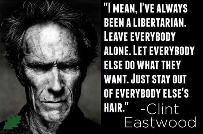 How Did You Finally Become a Libertarian? - HubPages