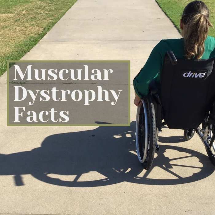 What Is Muscular Dystrophy? Facts and Statistics - HealthProAdvice ...