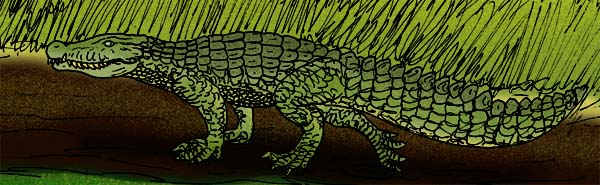 The Australian Megafauna - Owlcation - Education