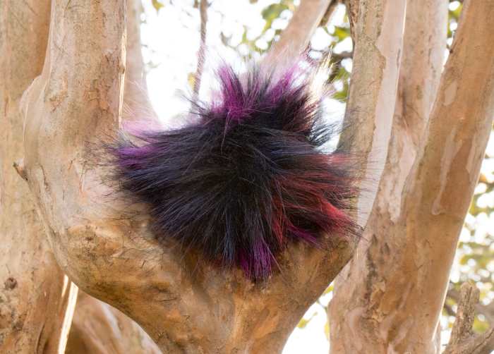 A Complete Guide to Raising a Tribble - LetterPile - Writing and Literature