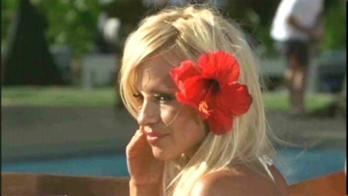 Pamela Anderson Bay Watch Videos and Photos - HubPages