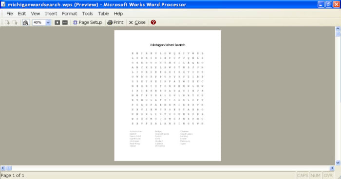 How To Create Your Own PDF Word Search Or Crossword Puzzle Activity 