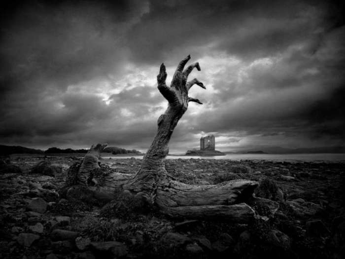 Quentin Compson's Dilemma - HubPages