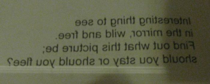 Poetry: It's All Done with Mirrors: Reflections, Phrases, Mirror ...