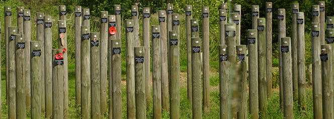 Firing Squad at Dawn - Executions in World War One (WWI) - HubPages