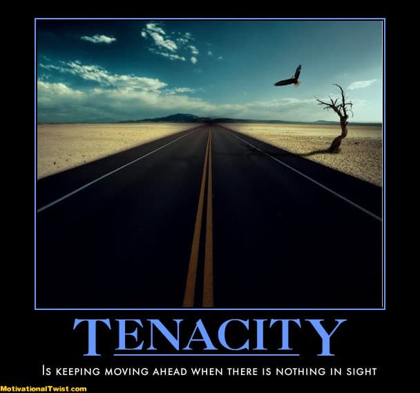 How can we show tenacity in the face of adversity? - HubPages