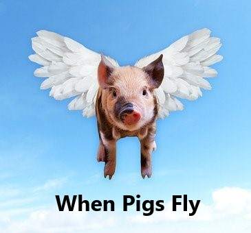 Pig Idioms - HubPages