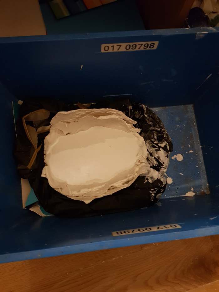 How to Make a Facial Plaster Cast (with and without alginate) - HubPages