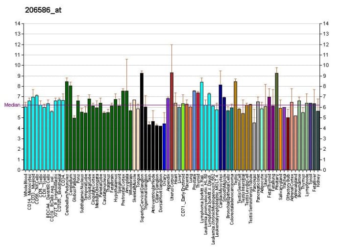 Herbal Incense, Spice, Mr. Happy, and More Synthetic Marijuana - HubPages