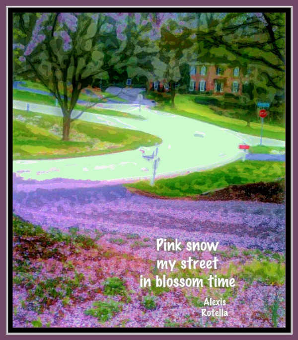 What is a Haiga? - HubPages