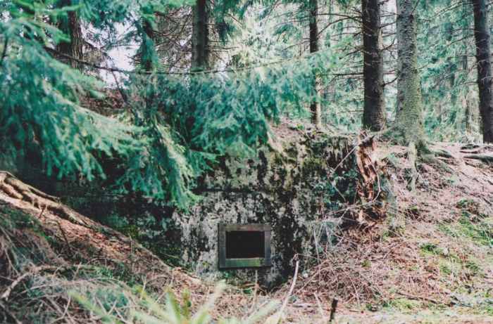 This Is War: Battle in Hurtgen Forest in 1944 and 20,000 Americans ...