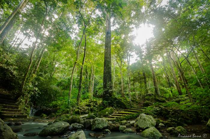 The Enchantress Maria Makiling (Mountain Goddesses of the Philippines ...