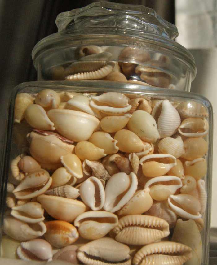 The Cowrie Shell in World and African History - HubPages