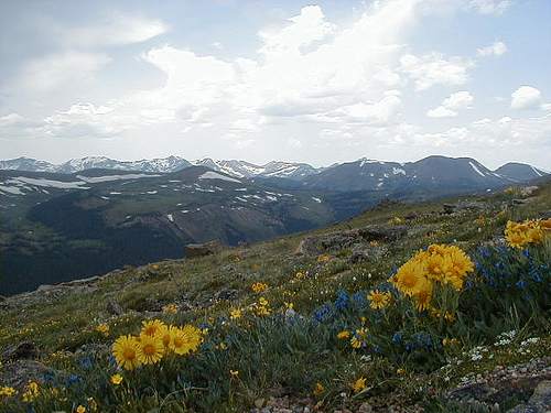 Alpine Biome - HubPages