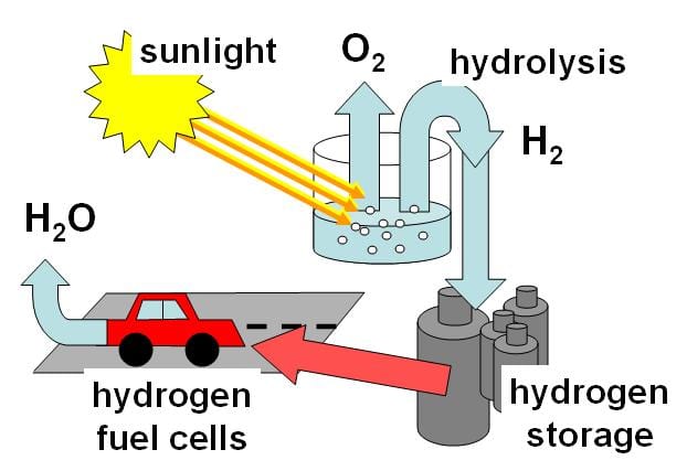 Cycle of Carbon, Nitrogen, Oxygen and Hydrogen - HubPages