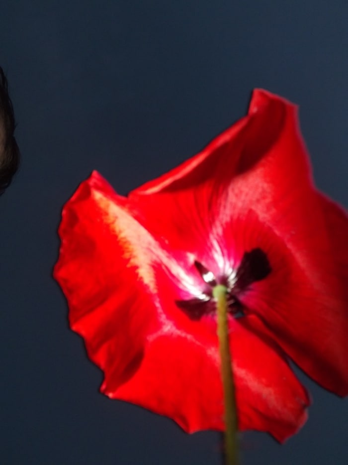 Isaac Rosenberg poetry- On Receiving News of the War- August 1914 ...