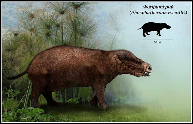 PaleoSpotlight: Morocco - HubPages