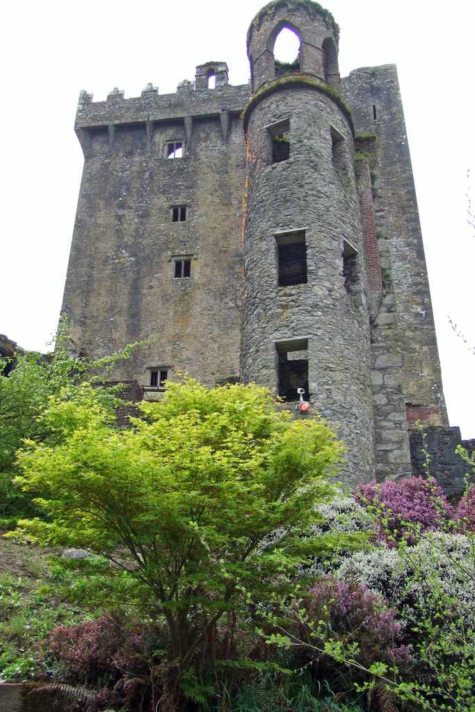 Intriguing Facts About Irish Castles - HubPages