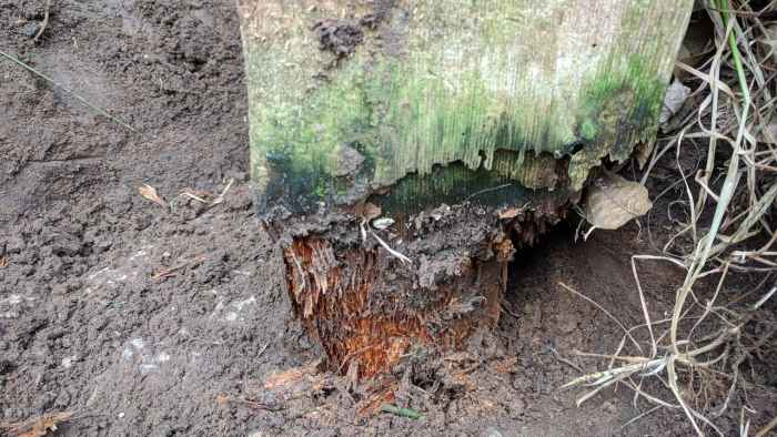 Repairing the Base of a Rotted Deck Post - HubPages