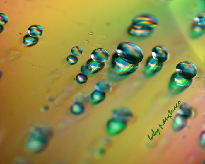 Guess What? Close up Photos of Some Common and Natural Objects - HubPages