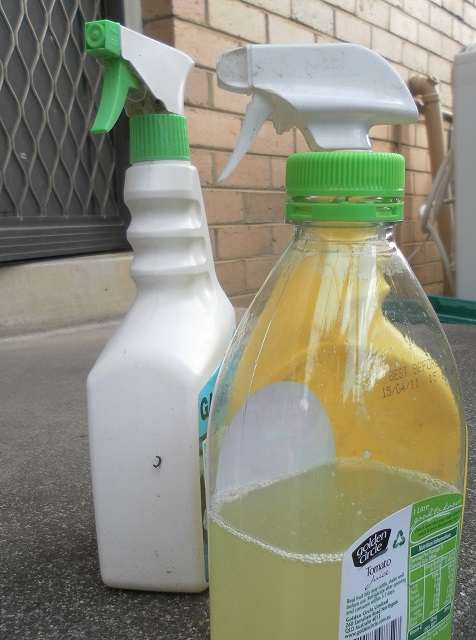 DIY Eco-Friendly Enzymatic Cleaner and Citrus Insect Spray - HubPages
