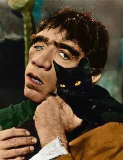 Quasimodo from Hunchback of Notre Dame - HubPages