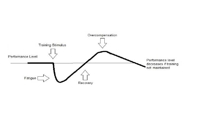 Superovercompensation And Overcompensation For Improved Athlete ...