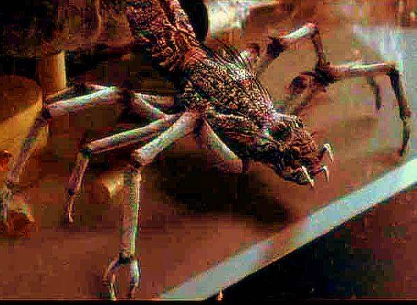 THE MIST Movie Creatures!!! - HubPages