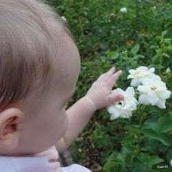 Botany Scavenger Hunt & Field Trip Ideas - HubPages