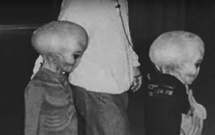 Project Serpo - HubPages