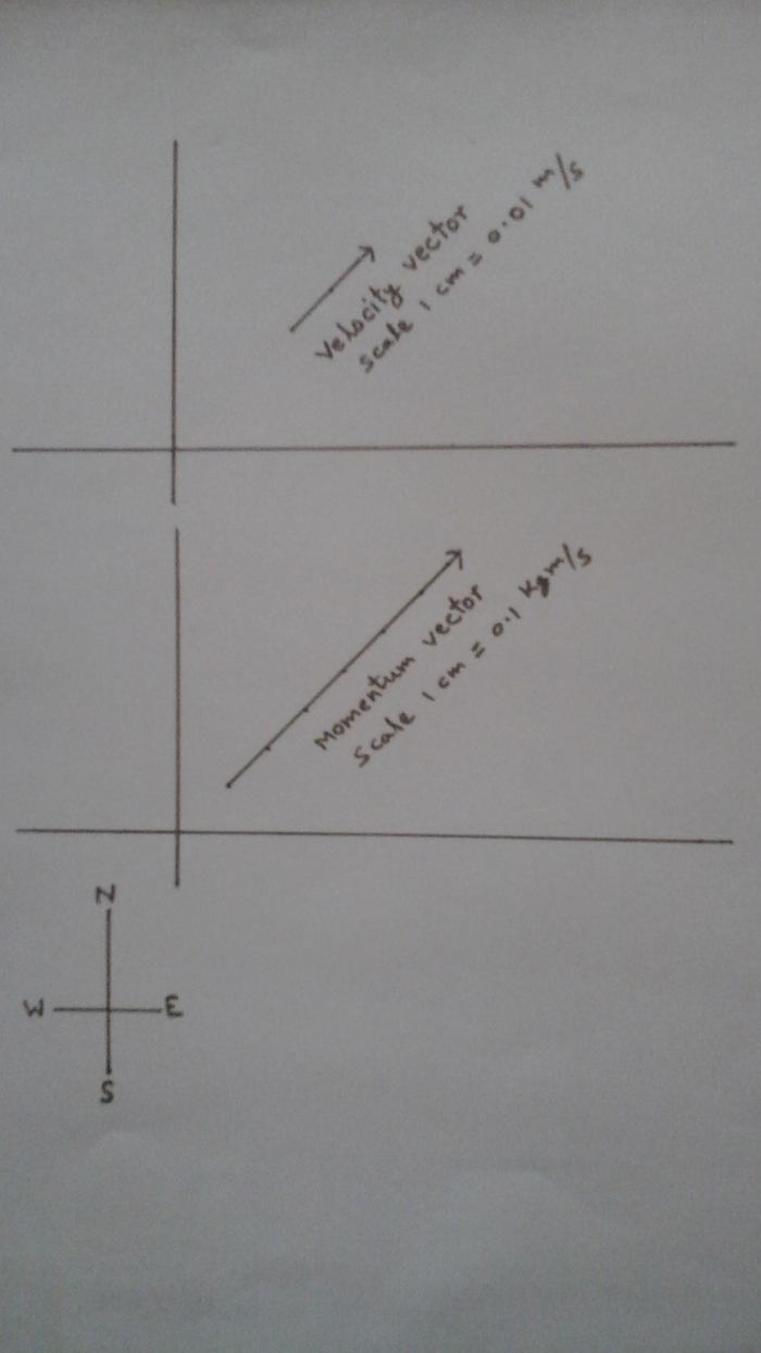 Basic Physics lesson-7 : Momentum - HubPages