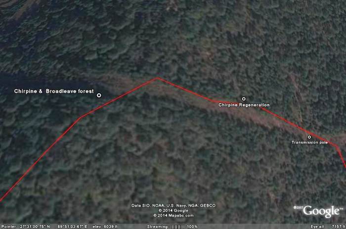 Transect walk (A case study) - HubPages