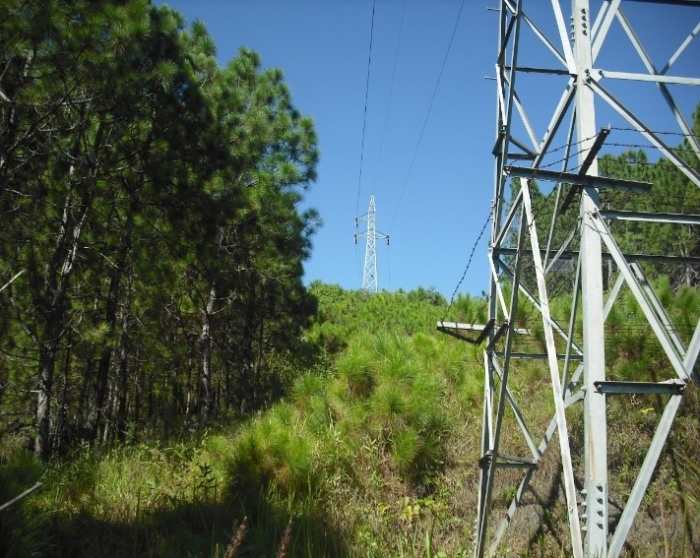 Transect walk (A case study) - HubPages