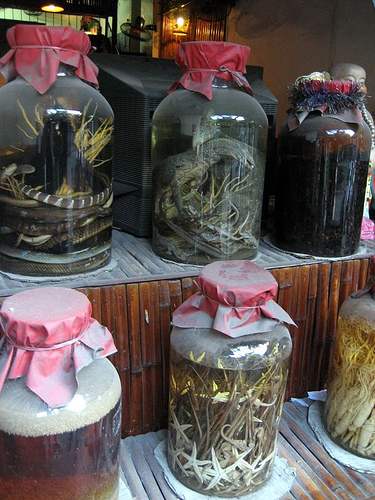 Tapuy - Filipino Rice Wine: How to Make - HubPages